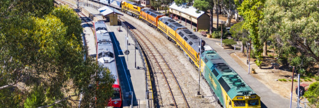 Regulator using Rail Safety Week to highlight priority issues | ONRSR